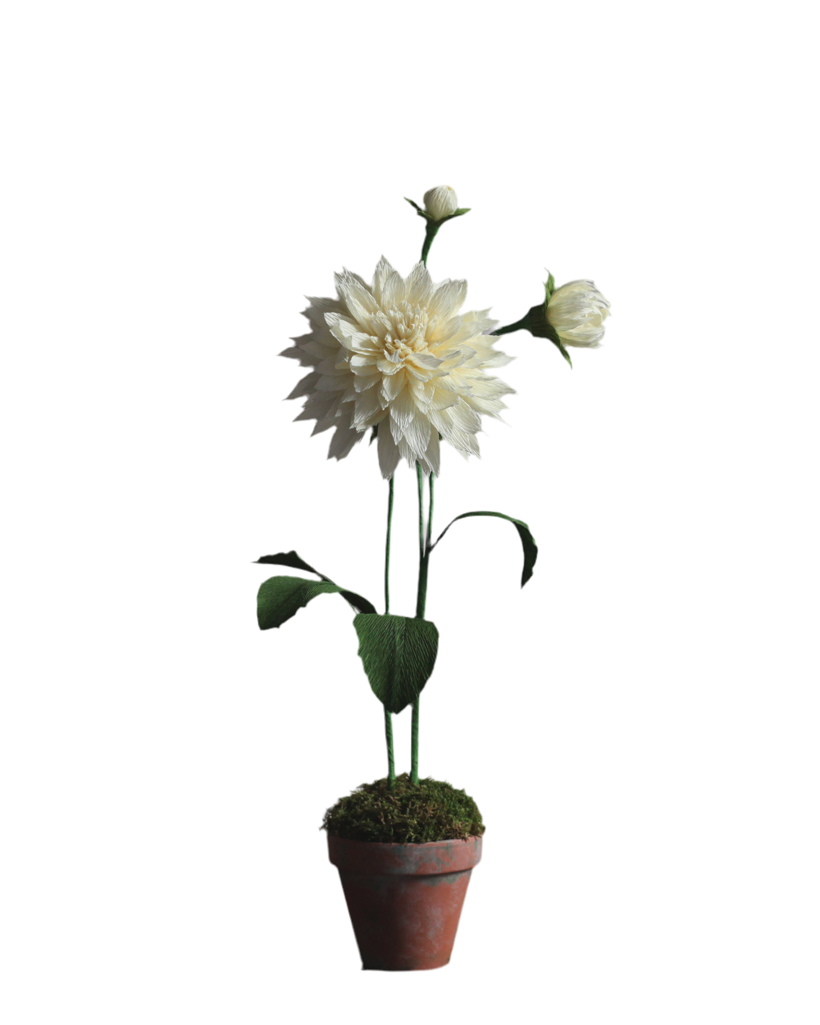 Blooms by Beam Paper Dahlia Flower – domenicamarland